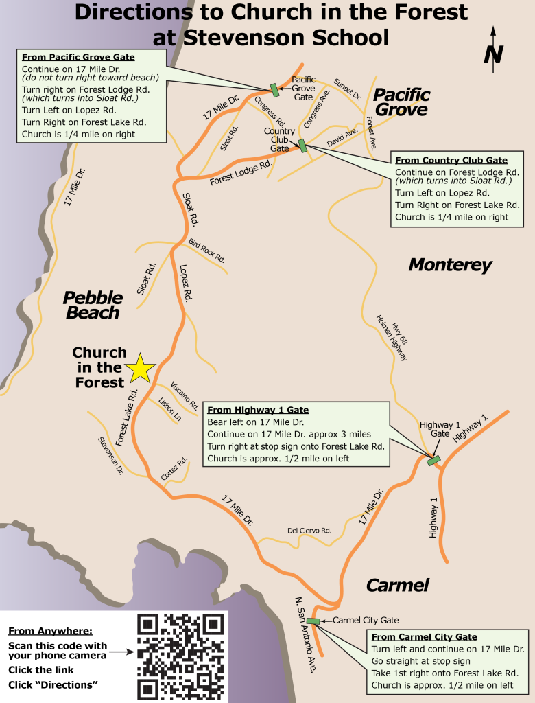 Church in the Forest - Home - CHURCH IN THE FOREST